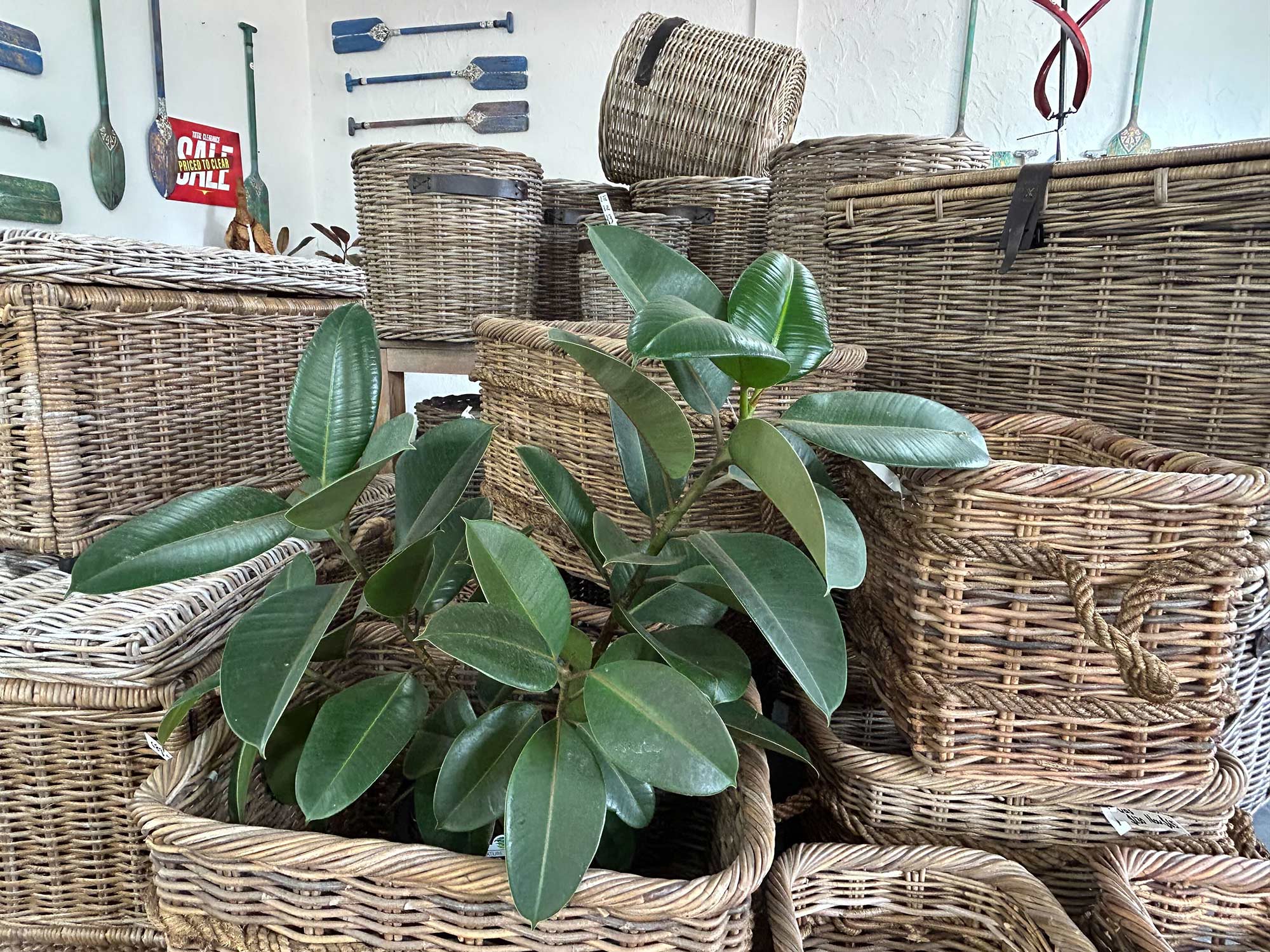 Aumanns Nursery | Aumanns Garden Supplies Melbourne